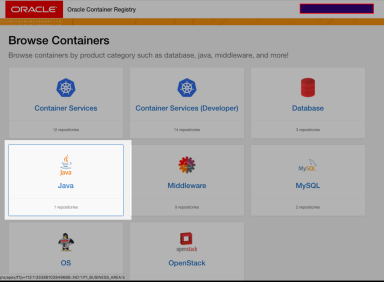 docker pull container-registry.oracle.com - access denied (or) Unauthorized