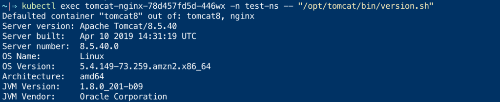 kubectl exec examples - Execute Shell commands into a POD | K8s