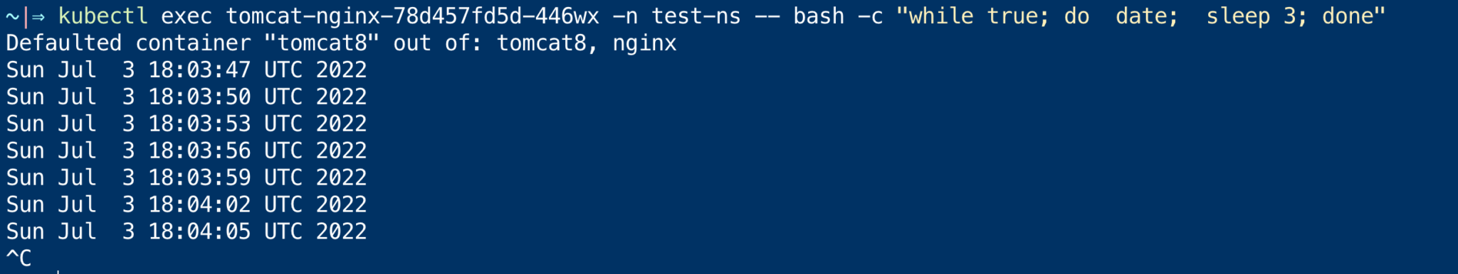 Exec To Pod Via Kubectl Shell Fails With Error Unable To Upgrade Hot