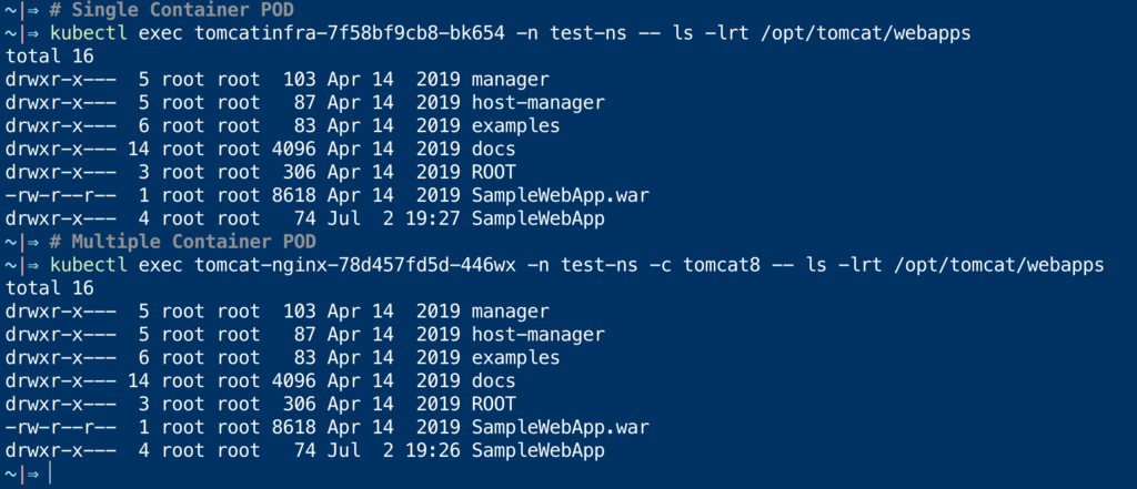 Kubectl Exec Examples Execute Shell Commands Into A Pod K8s