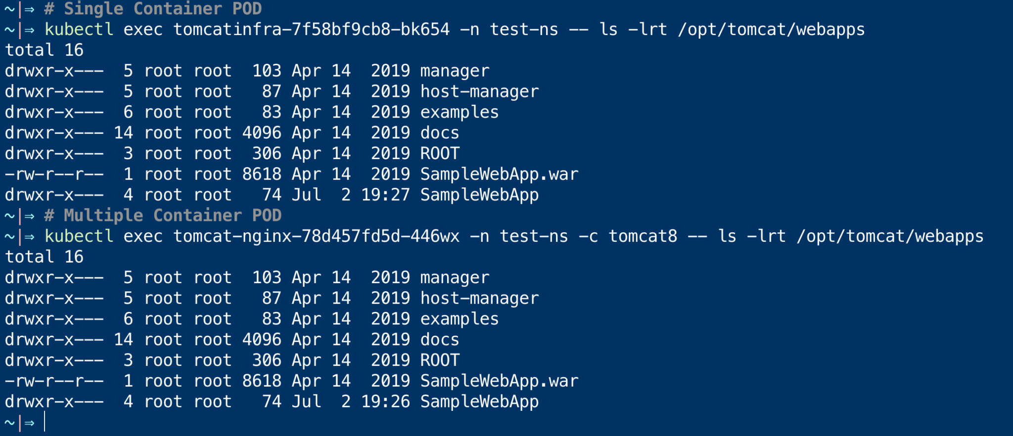 Kubectl Exec Examples Execute Shell Commands Into A Pod K8s 2323