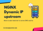 NGINX Dynamic IP address upstream - DNS Cache issue | How to solve